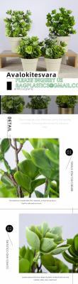 Cina Fake Plants 16