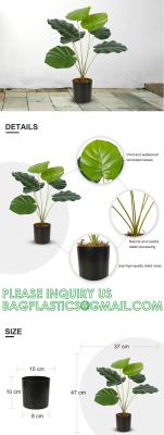 Cina Fake Plants 16