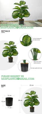 Cina Fake Plants 16