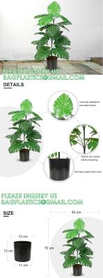 Cina Fake Plants 16