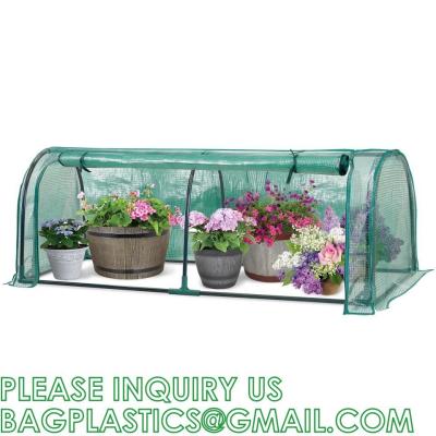 Cina Winter Mini Home Flower Plant Outdoor Sloping Top Waterproof Backyard Walking Plastic Garden Greenhouse Walk In in vendita