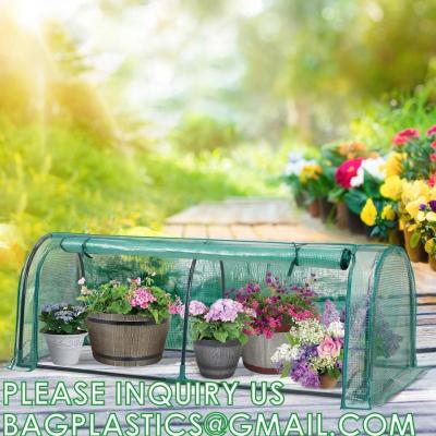 Cina Winter Mini Home Flower Plant Outdoor Sloping Top Waterproof Backyard Walking Plastic Garden Greenhouse Walk In in vendita