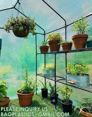 Cina Winter Mini Home Flower Plant Outdoor Sloping Top Waterproof Backyard Walking Plastic Garden Greenhouse Walk In in vendita