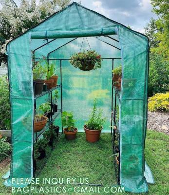 Cina Winter Mini Home Flower Plant Outdoor Sloping Top Waterproof Backyard Walking Plastic Garden Greenhouse Walk In in vendita