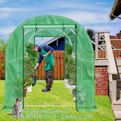 Cina Winter Mini Home Flower Plant Outdoor Sloping Top Waterproof Backyard Walking Plastic Garden Greenhouse Walk In in vendita