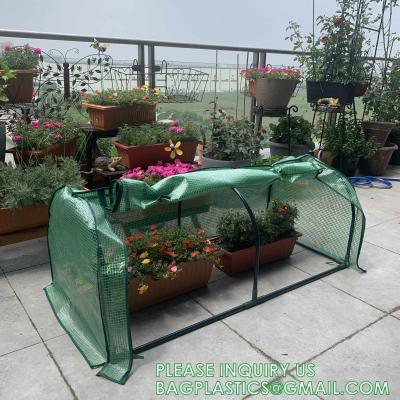 Cina Winter Mini Home Flower Plant Outdoor Sloping Top Waterproof Backyard Walking Plastic Garden Greenhouse Walk In in vendita