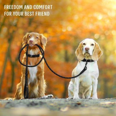 China Dog Leash Heavy Duty, Comfortable Padded Handle, Highly Reflective Threads Dog Leash for Large Dogs for sale