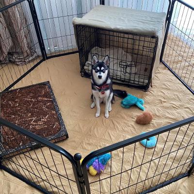 Cina Outdoor Dog Kennels for Large Dogs with Roof, Heavy Duty Metal Dog Enclosures for Outside, Large House Cage Dog Pen in vendita