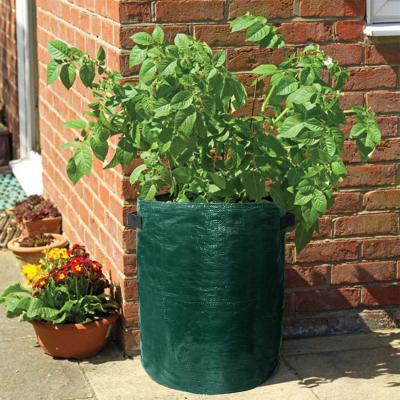 Cina 10 Gallon Potato Grow Bags, Planter Pouch Bags for Vegetables, Fruits and Flowers Flap Window, Garden Planting Bag in vendita