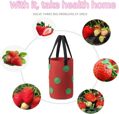Cina Strawberry Grow Bags, No Gauze Growing Bag, Hole Upside Down Planter Handling Planter Bags, Planting Strawberries in vendita