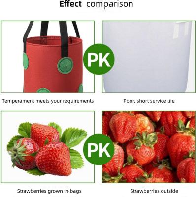 Cina Strawberry Grow Bags, No Gauze Growing Bag, Hole Upside Down Planter Handling Planter Bags, Planting Strawberries in vendita