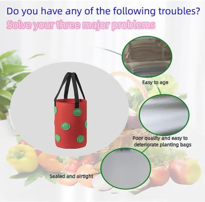 Cina Strawberry Grow Bags, No Gauze Growing Bag, Hole Upside Down Planter Handling Planter Bags, Planting Strawberries in vendita
