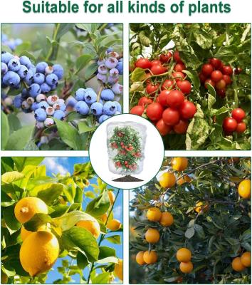 Cina Plant Freeze Protection Covers 32 x 47 Inch Winter Shrub Cover Tree Frost Blanket Drawstring Winter Frost Prote in vendita
