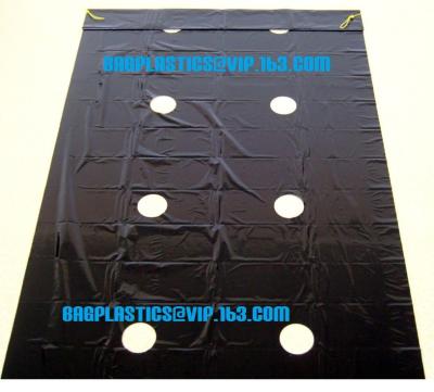 Cina Weed Control Mulch Film, Agriculture Vegetable Black PE Films, 5 Holes Greenhouse Perforated Film in vendita