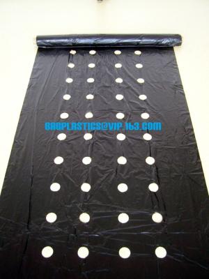 Cina Weed Control Mulch Film, Agriculture Vegetable Black PE Films, 5 Holes Greenhouse Perforated Film in vendita
