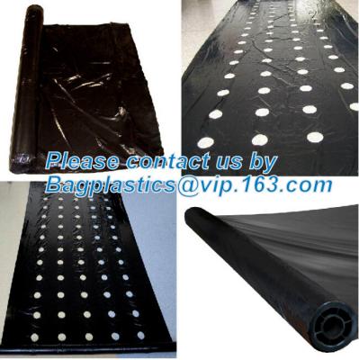 Cina Weed Control Mulch Film, Agriculture Vegetable Black PE Films, 5 Holes Greenhouse Perforated Film in vendita