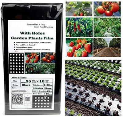 Cina Weed Control Mulch Film, Agriculture Vegetable Black PE Films, 5 Holes Greenhouse Perforated Film in vendita