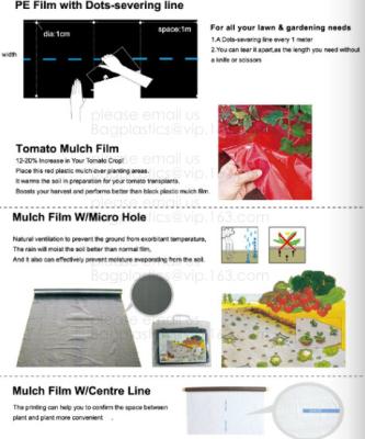 Cina Weed Control Mulch Film, Agriculture Vegetable Black PE Films, 5 Holes Greenhouse Perforated Film in vendita