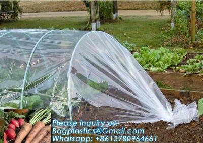 Cina Perforated Tomato Tube Cover Frost Protection Bag Garden Used Cover Tomato Growing Covers Sleeves With Ties in vendita