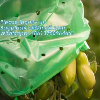 Cina Perforated Tomato Tube Cover Frost Protection Bag Garden Used Cover Tomato Growing Covers Sleeves With Ties in vendita