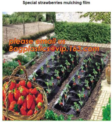 China Transparent Low Tunnel Film Perforated For Culture Of Seedling Maturing Vegetables perforated red plastic mulch for sale