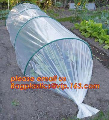 China Transparent Low Tunnel Film Perforated For Culture Of Seedling Maturing Vegetables perforated red plastic mulch for sale