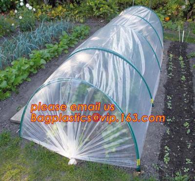 China Transparent Low Tunnel Film Perforated For Culture Of Seedling Maturing Vegetables perforated red plastic mulch for sale