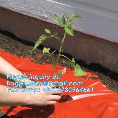 China Pe Mulch Film With Holes For Agriculture Perforated Red Plastic Mulch For Peppers Crop Cover For Tomatoes for sale