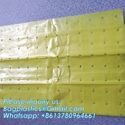 China Pe Mulch Film With Holes For Agriculture Perforated Red Plastic Mulch For Peppers Crop Cover For Tomatoes for sale