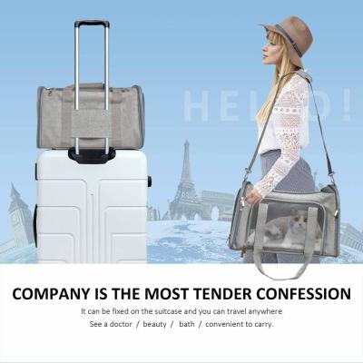 Cina Cat Carriers Dog Carrier Pet Carrier For Small Medium Cats Dogs Puppies Of 15 Lbs in vendita