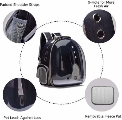 Cina Transparent Capsule Pet Bag Carrier Luggage Case Transparent Trolley Case With Trolley Wheels in vendita