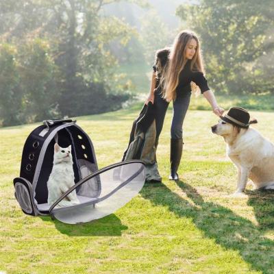 Cina Transparent Capsule Pet Bag Carrier Luggage Case Transparent Trolley Case With Trolley Wheels in vendita