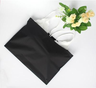 Cina Frosted Packaging Bag,50PCS 5.5 * 7.9