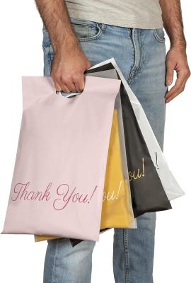 Cina Bags for Packaging, Package Bags, Packaging Bags for Small Business, Shipping Bags with Handle in vendita