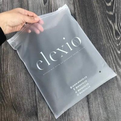 Cina Wholesale Custom Printing Logo Plastic Zip Packaging Poly Bags Biodegradable Frosted Eva Zipper Bag Clothing Brand in vendita