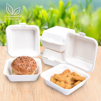 China Takeout Takeaway Good Eco Sugarcane 800ml Lunch Box Clamshell Disposable Biodegradable Food Containers With Custom Logo for sale