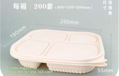 China Takeout Takeaway Good Eco Sugarcane 800ml Lunch Box Clamshell Disposable Biodegradable Food Containers With Custom Logo for sale