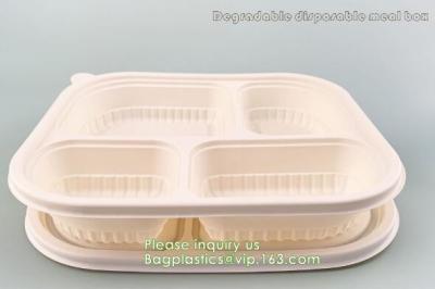 China Takeout Takeaway Good Eco Sugarcane 800ml Lunch Box Clamshell Disposable Biodegradable Food Containers With Custom Logo for sale