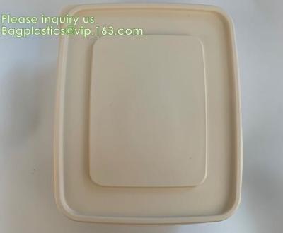 China Takeout Takeaway Good Eco Sugarcane 800ml Lunch Box Clamshell Disposable Biodegradable Food Containers With Custom Logo for sale