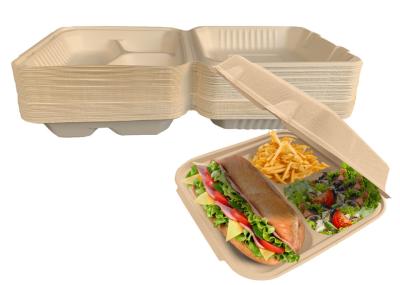 Cina 6-10 Inch 9x6 Biodegradable Disposable Fast Food Packaging Sugarcane Lunch Food Container Takeaway Box in vendita