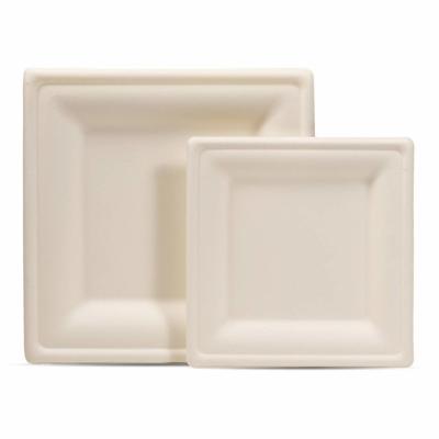 Cina 600ml Biodegradable & Compostable Sugarcane Take Away Bagasse Biodegradable Paper Take Out Food Container Disposable in vendita