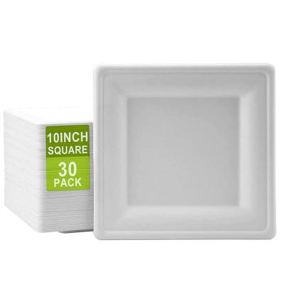Cina 600ml Biodegradable & Compostable Sugarcane Take Away Bagasse Biodegradable Paper Take Out Food Container Disposable in vendita