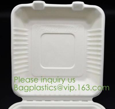 Cina Tableware Bagasse Plate Bagasse Containers Bagasse Clamshell Bagasse Tray Bagasse Cup Bagasse Lids Bagasse Cutle in vendita