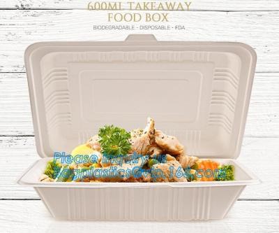 Cina Tableware Bagasse Plate Bagasse Containers Bagasse Clamshell Bagasse Tray Bagasse Cup Bagasse Lids Bagasse Cutle in vendita