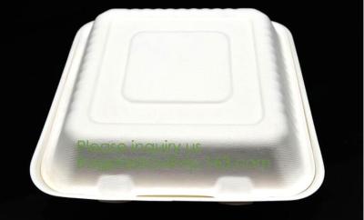 Cina Tableware Bagasse Plate Bagasse Containers Bagasse Clamshell Bagasse Tray Bagasse Cup Bagasse Lids Bagasse Cutle in vendita