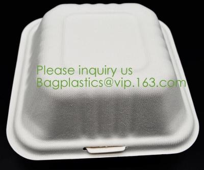 Cina Tableware Bagasse Plate Bagasse Containers Bagasse Clamshell Bagasse Tray Bagasse Cup Bagasse Lids Bagasse Cutle in vendita