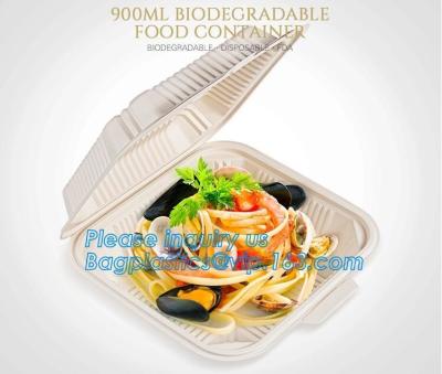 Cina Tableware Bagasse Plate Bagasse Containers Bagasse Clamshell Bagasse Tray Bagasse Cup Bagasse Lids Bagasse Cutle in vendita