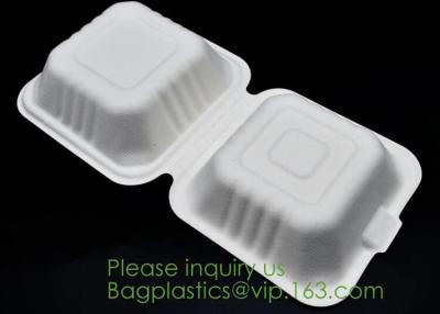 Cina Tableware Bagasse Plate Bagasse Containers Bagasse Clamshell Bagasse Tray Bagasse Cup Bagasse Lids Bagasse Cutle in vendita