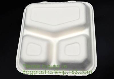 Cina Tableware Bagasse Plate Bagasse Containers Bagasse Clamshell Bagasse Tray Bagasse Cup Bagasse Lids Bagasse Cutle in vendita