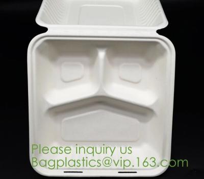 Cina Tableware Bagasse Plate Bagasse Containers Bagasse Clamshell Bagasse Tray Bagasse Cup Bagasse Lids Bagasse Cutle in vendita
